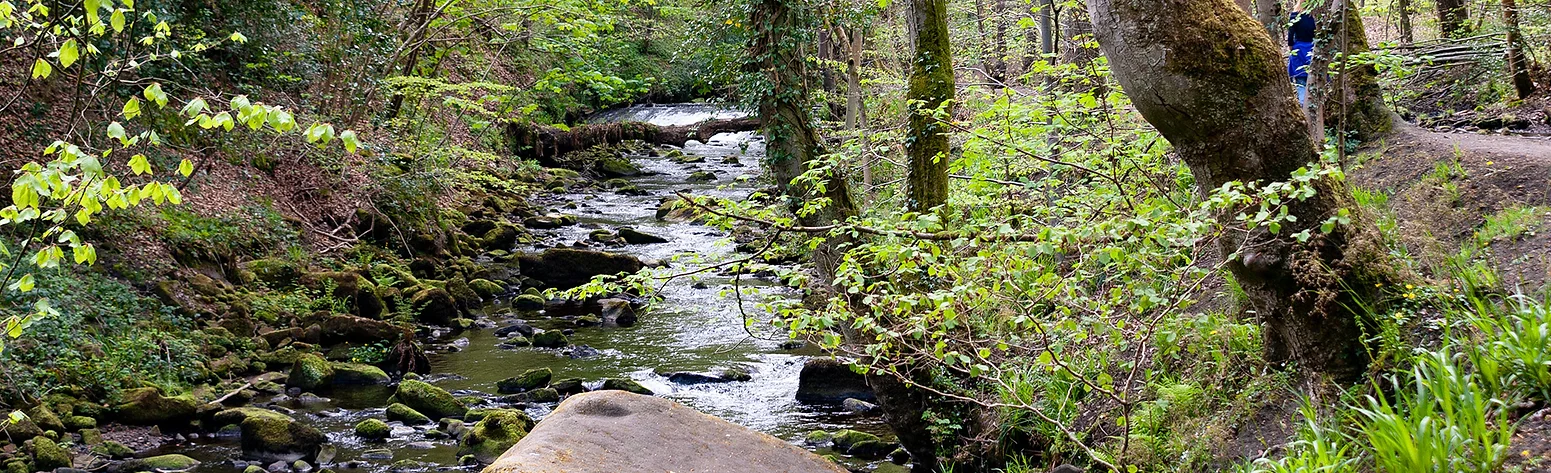 Rivelin Valley Walk - BaseCamp Cafe Sheffield
